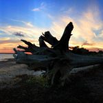 Kayak Rentals - Rockledge Park, Grapevine, TX